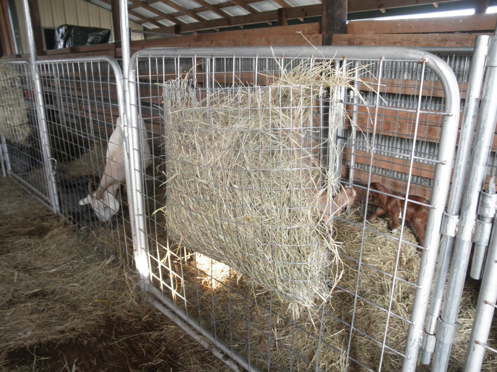 Harmon PFarms: FARM TIP: Easy, Inexpensive Hay Rack
